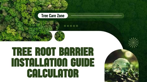 Image result for Tree Root Guide