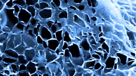 Image result for Humic Compounds