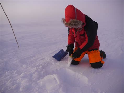 Image result for Snow Sampling