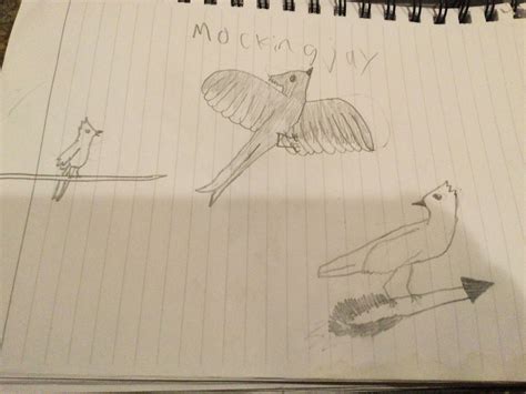 Image result for Mockingjay Bird Drawing