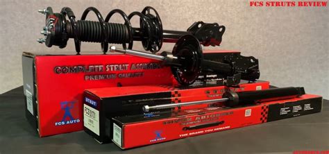 Image result for FCS Struts