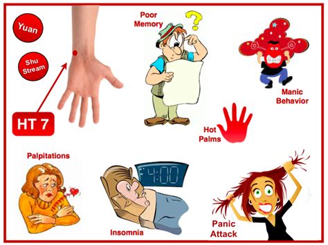 Image result for Heart Protector Channel TCM