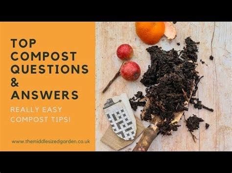 Image result for Using Homemade Garden Compost