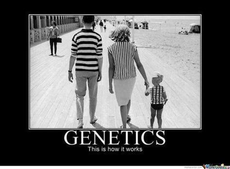 Image result for Good Genetics Questions