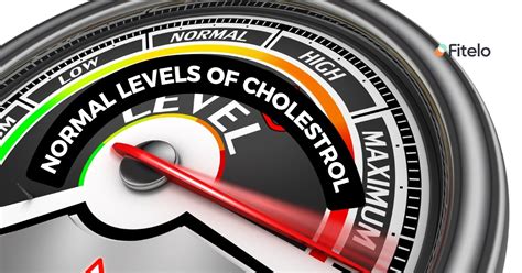 Image result for Normal Blood Cholesterol Level