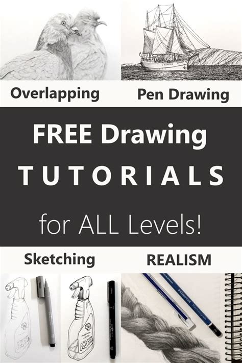 Image result for Easy Beginner Drawing Lessons