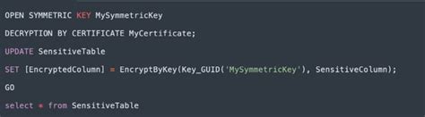 Image result for SQL Server Row and Column Level Security