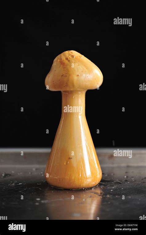 Image result for Elephant Toothpaste Large-Scale