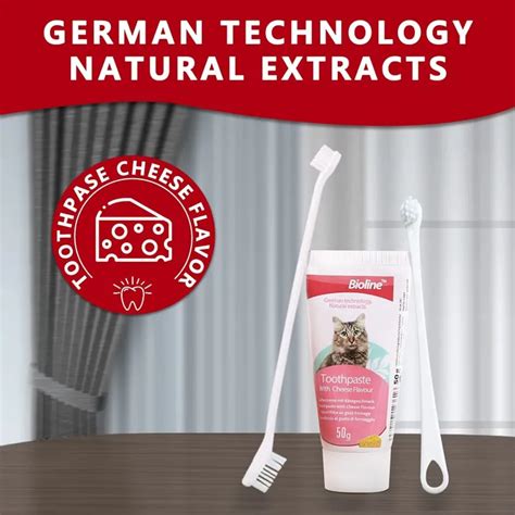 Image result for Cheese Toothpaste