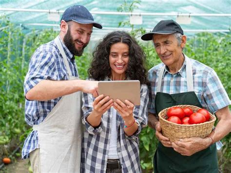 Image result for Very Small Farm Setup