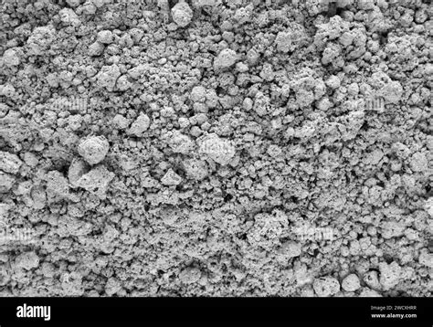 Image result for What Color Is Tooth Powder