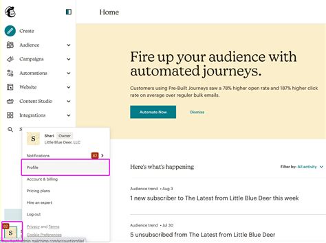 Image result for How to Get MailChimp API Key