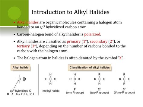 Image result for Alkyl Halide Examples