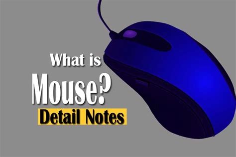 Image result for Mouse Function Wikipedia