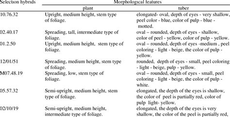 Image result for Morphological Characteristics Examples