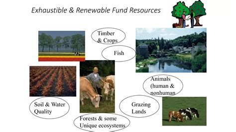 Image result for Classification of Natural Resources