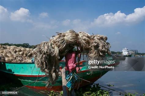 Image result for Jute Processing