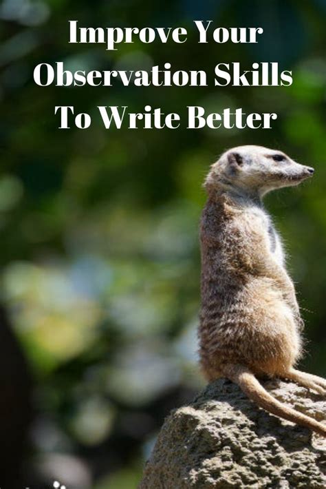 Image result for Observation Practice