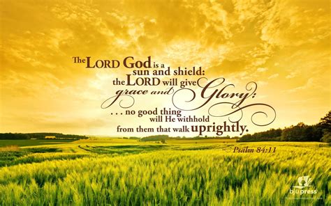 Image result for Thanksgiving Background with Scripture