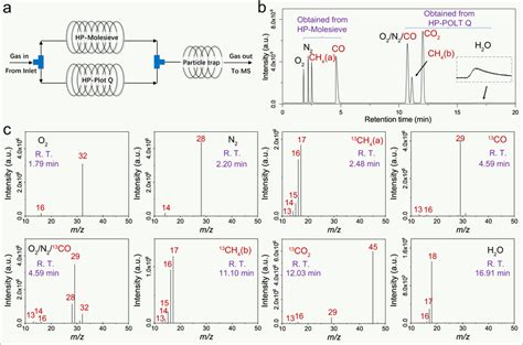 Image result for Parallel Interface System Diagram