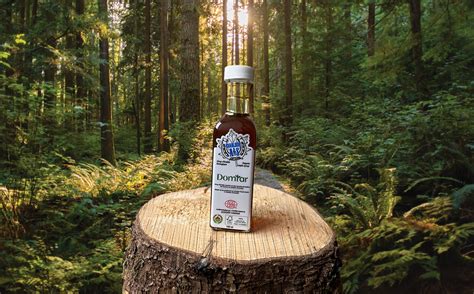 Image result for Quebec Maple Syrup Producers