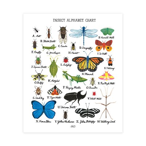 Image result for Read Aloud Insect Alphabet Book