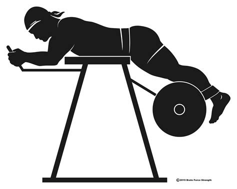 Image result for Reverse Hyper How To