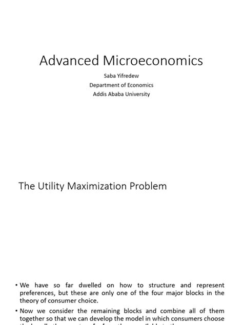 Image result for Utility Maximization Problem