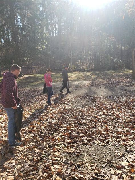 Image result for Grayback Recovery