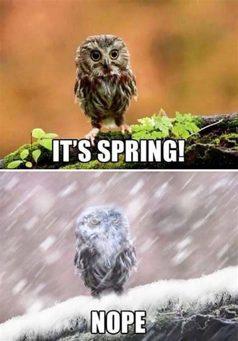 Image result for Cold Spring Humor