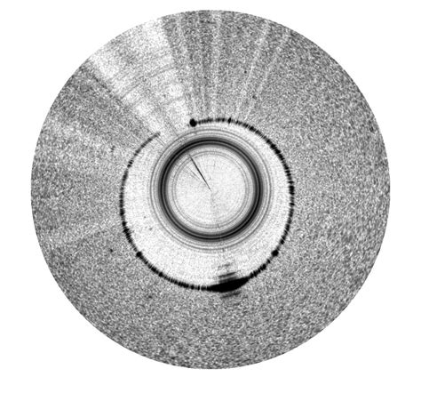 Image result for Grey Line MATLAB