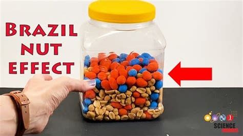 Image result for Easy Elementary Science Projects