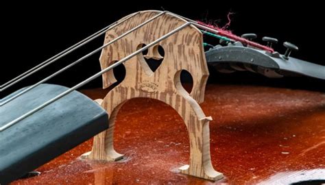 Image result for Japanese Fiddle One String