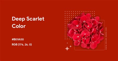 Image result for Scarlet Color RGB Code