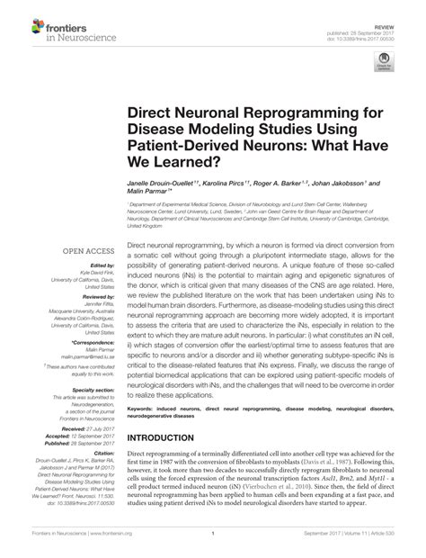 Image result for Neuronal Reprogramming