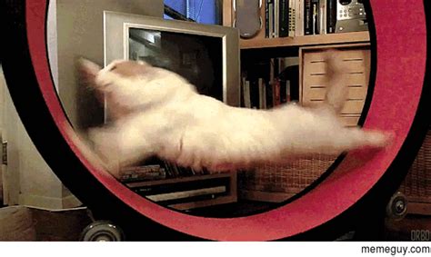 Image result for Gotta Go Fast Go