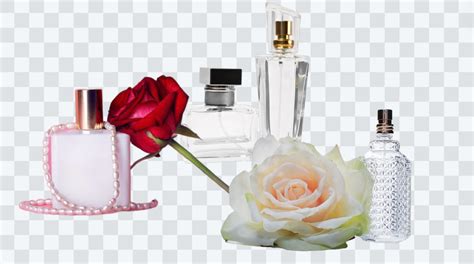 Image result for Introducing Transparent Background