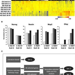 Image result for Microarray Gene Expression