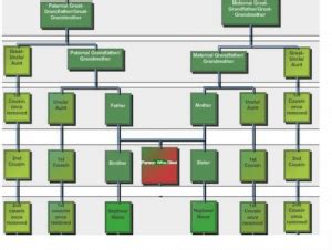 Image result for Inteste