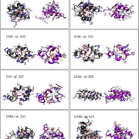 Image result for Protein Folding Simulation