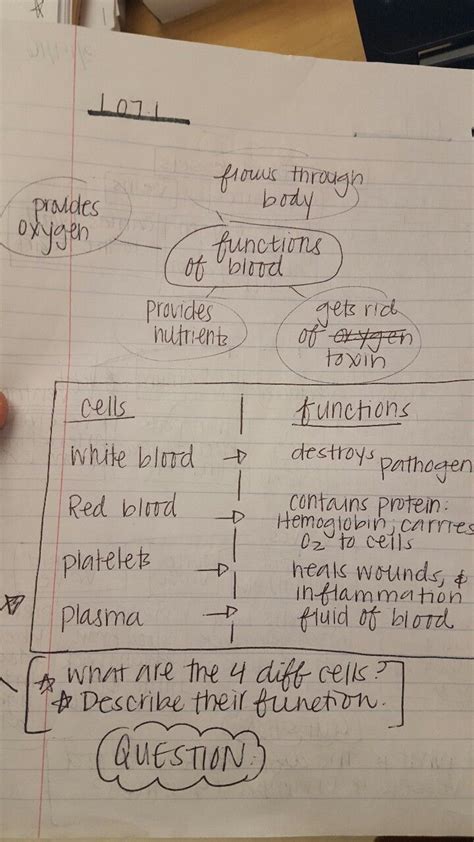 Image result for Create Your Own Study Guide