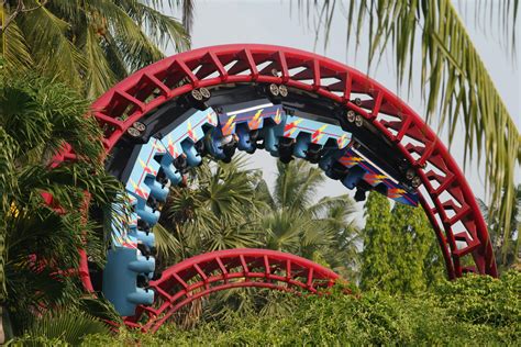 Image result for Free Looping