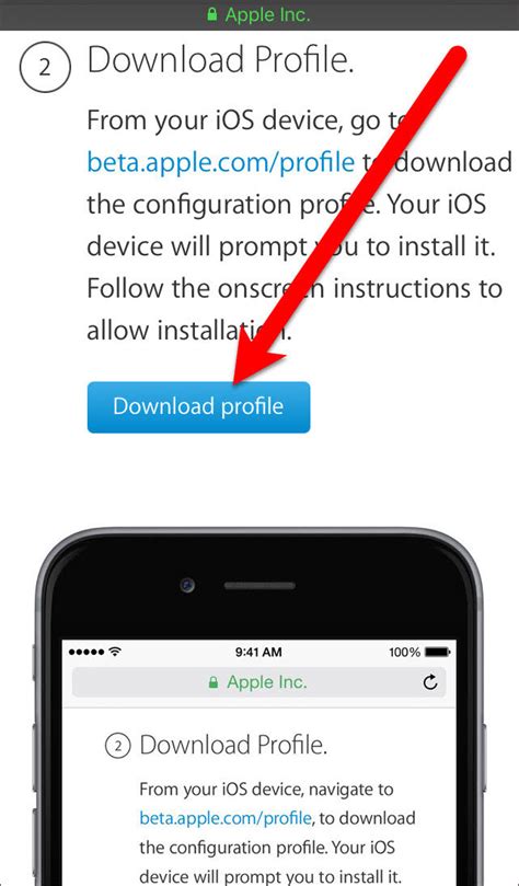 Image result for Install iOS iPhone Program