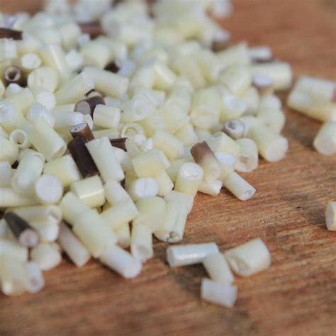 Image result for Using Porky Quills