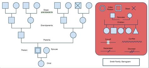 Image result for Genogram Sample