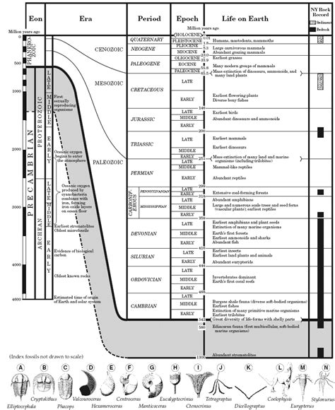 Image result for Earth Science Reference Table Rocks