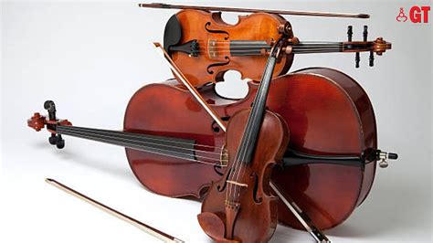 Image result for One String Instrument