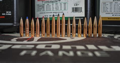 Image result for 300 PRC Reloading Chart