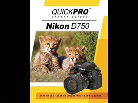 Image result for Nikon D750 Using Manual