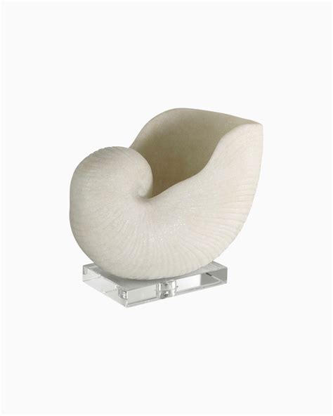 Nautilus Shell Sculpture – Norris Furniture